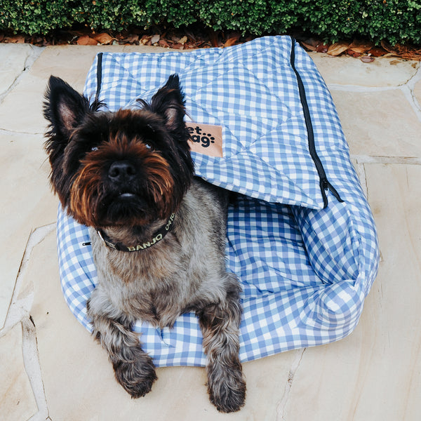 Blue Gingham (S-M & L) – The Pet Swag